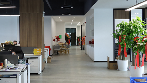 China Shenzhen LuoX Electric Co., Ltd. company profile